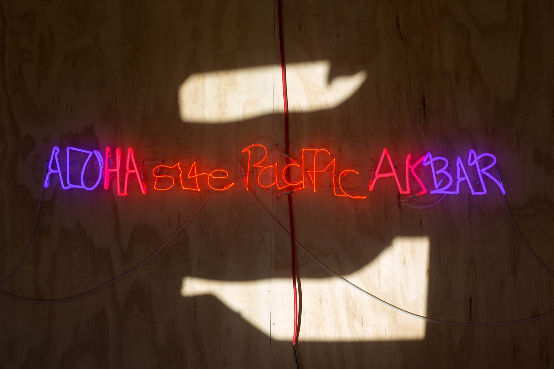 Palm Hoop #1, Alexandria, Sydney | Mike Hewson