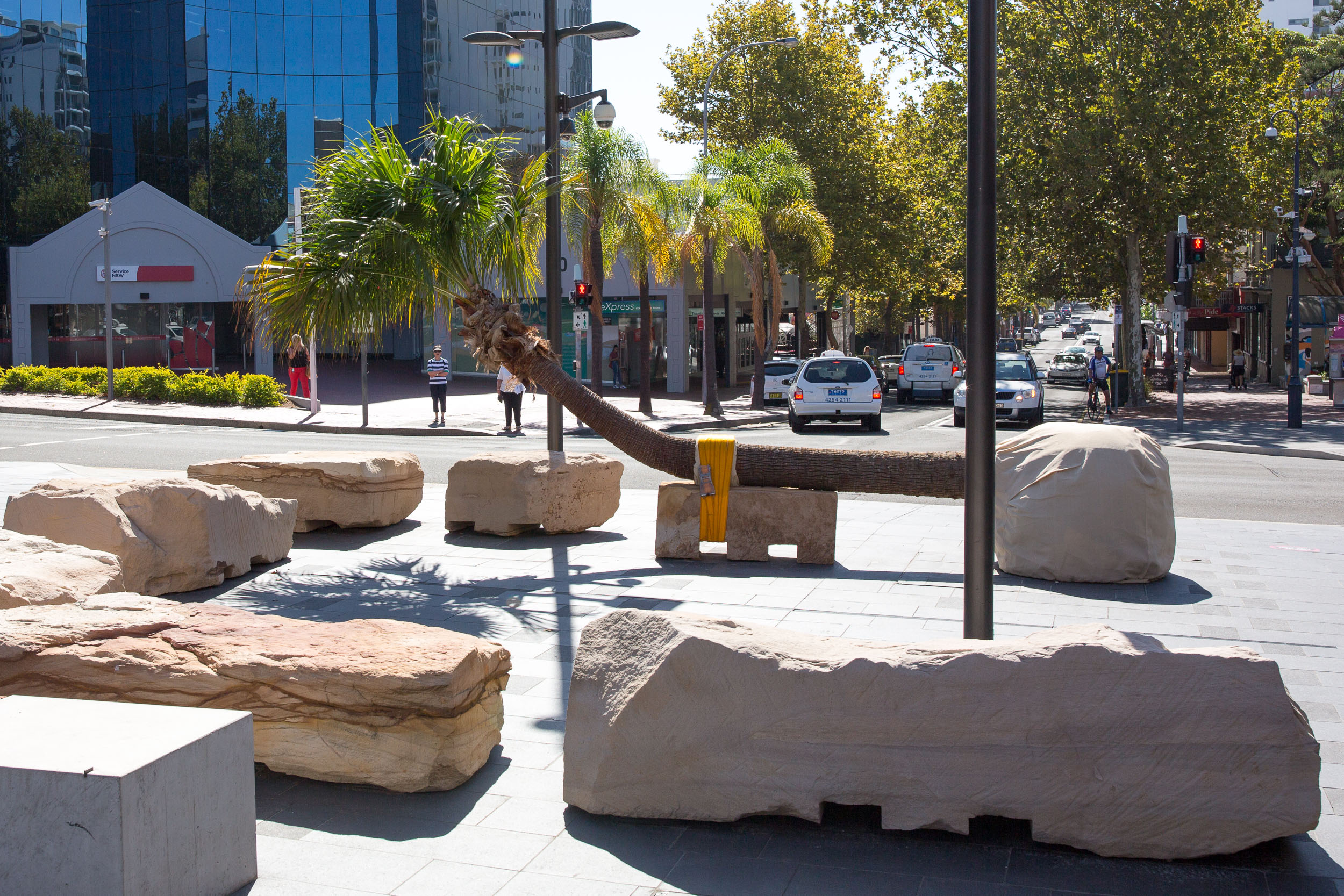Illawarra Placed Landscape, Crown St Mall, Wollongong | Mike Hewson