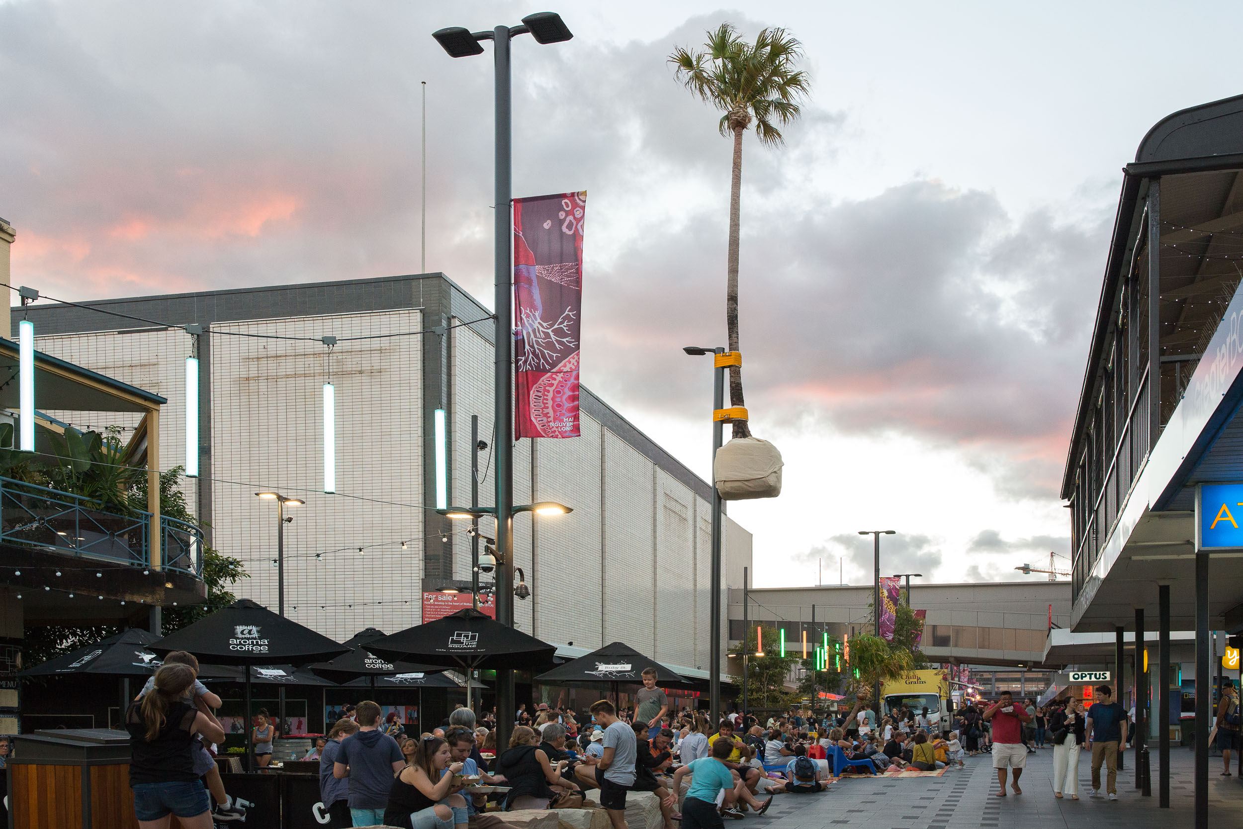 Illawarra Placed Landscape, Crown St Mall, Wollongong | Mike Hewson