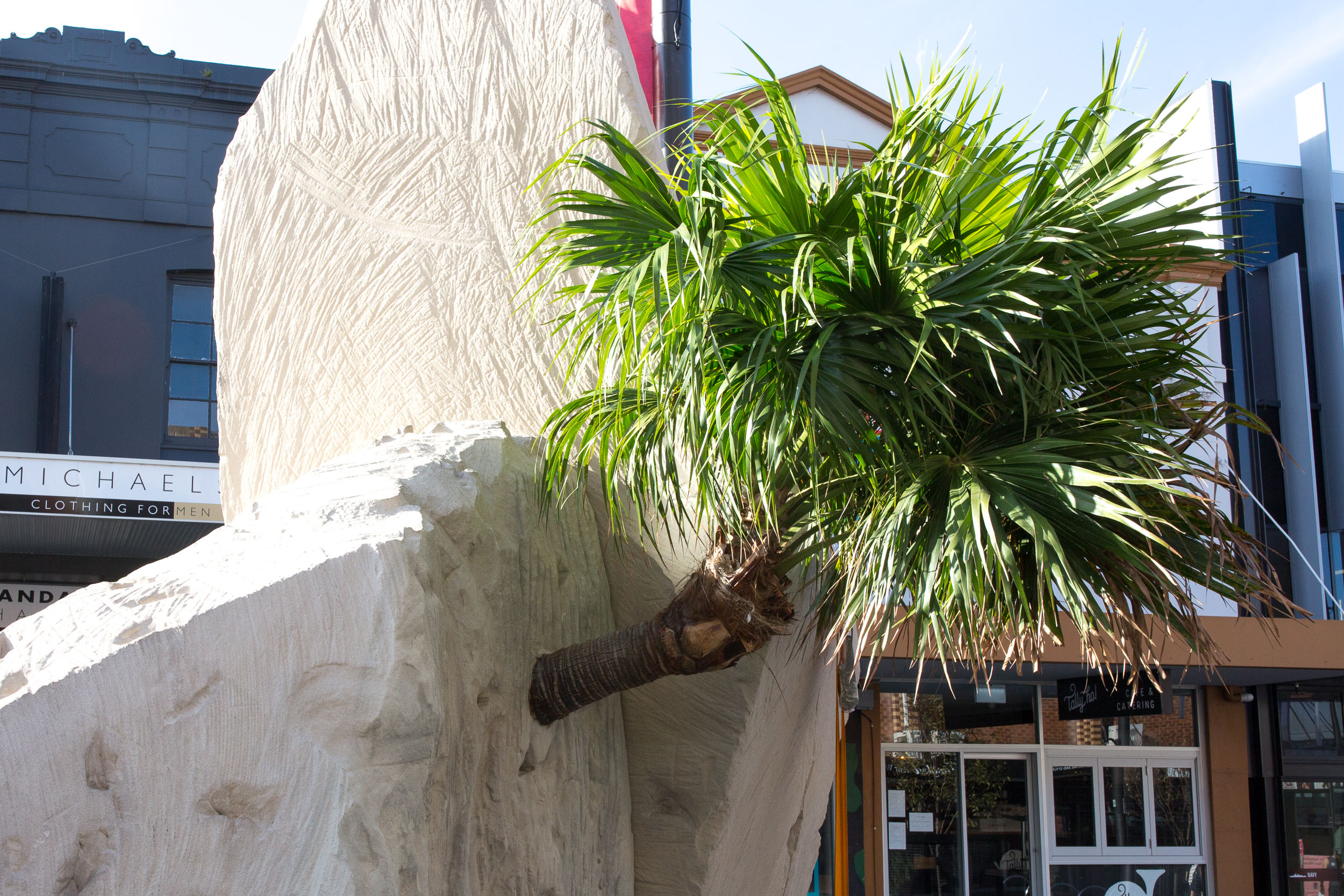 Illawarra Placed Landscape, Crown St Mall, Wollongong | Mike Hewson