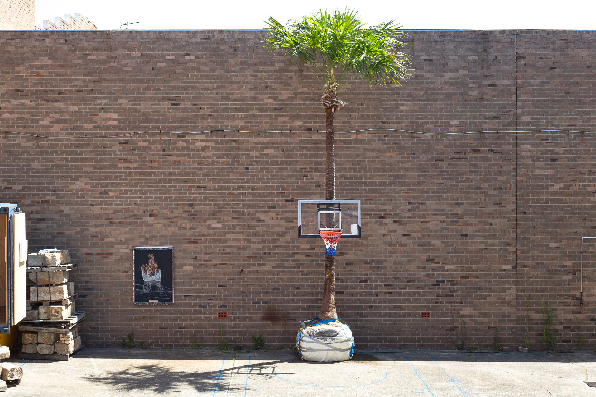 Palm Hoop #1, Alexandria, Sydney | Mike Hewson