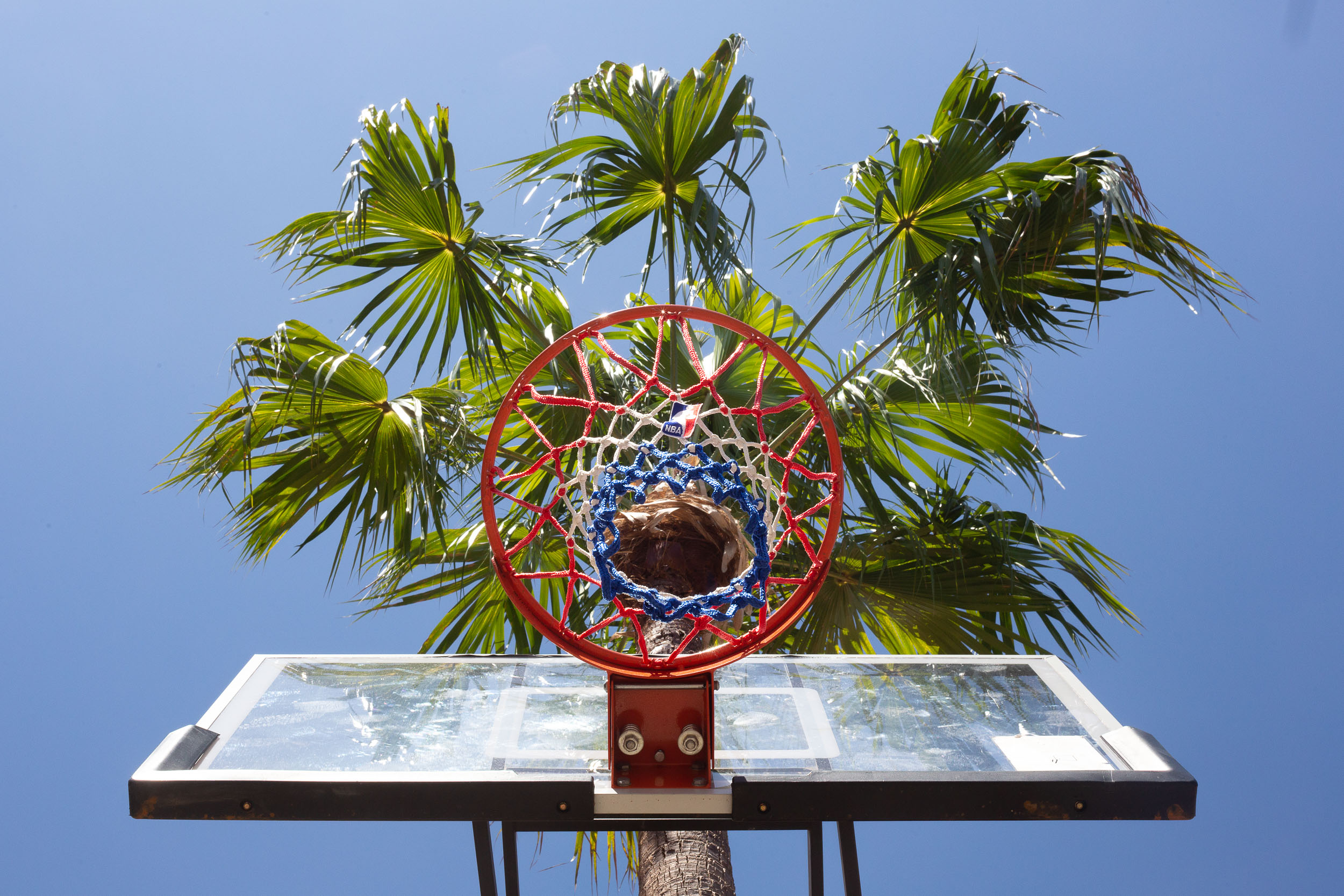 Palm Hoop #1, Alexandria, Sydney | Mike Hewson