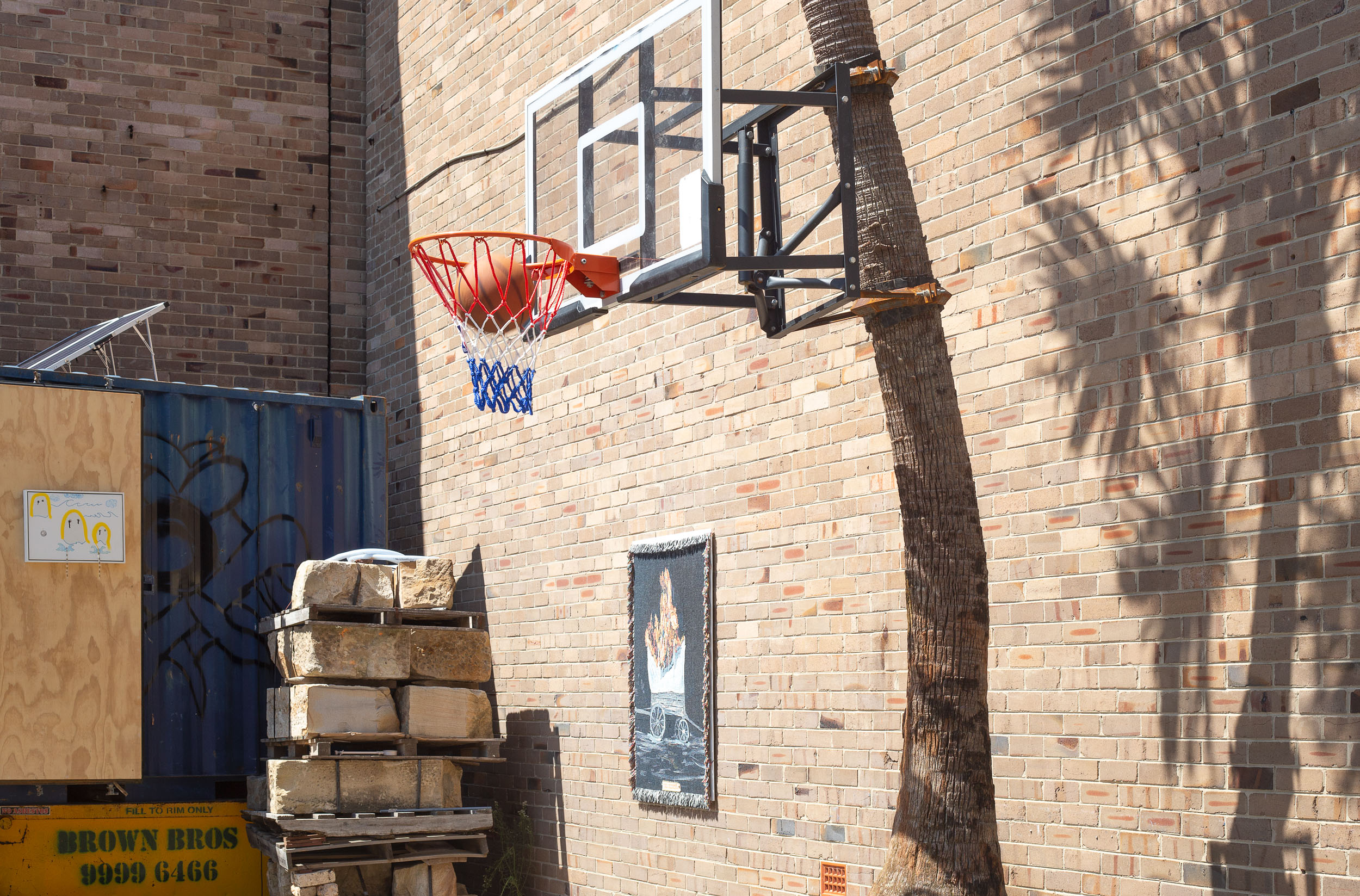 Palm Hoop #1, Alexandria, Sydney | Mike Hewson