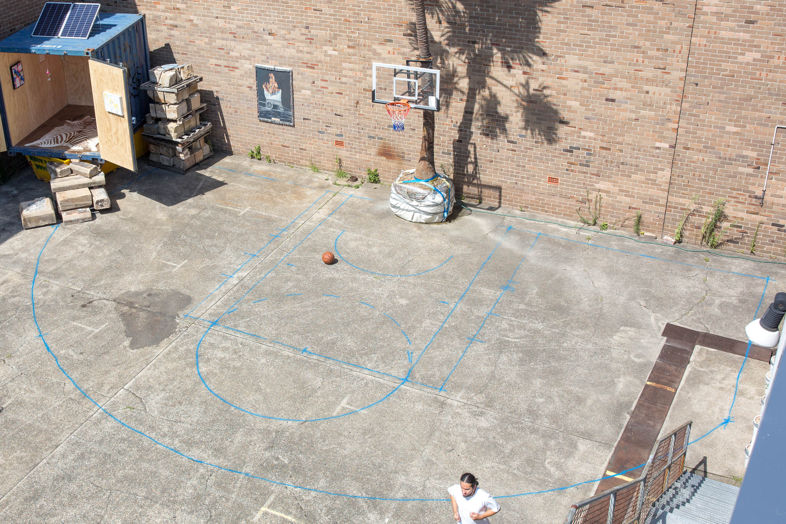 Palm Hoop #1, Alexandria, Sydney | Mike Hewson