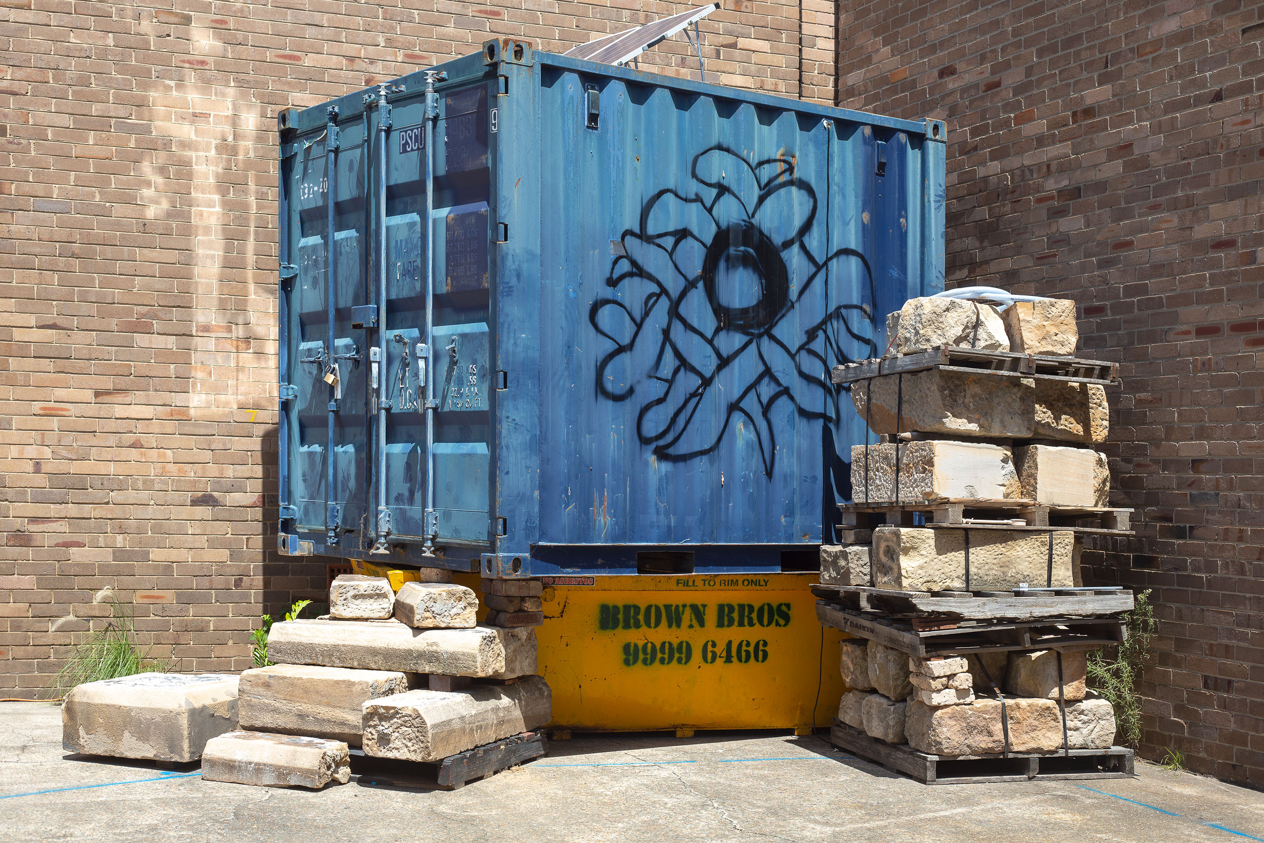 Palm Hoop #1, Alexandria, Sydney | Mike Hewson